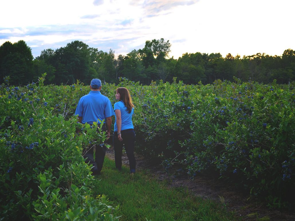 walk-in-field - DeGrandchamp Farms