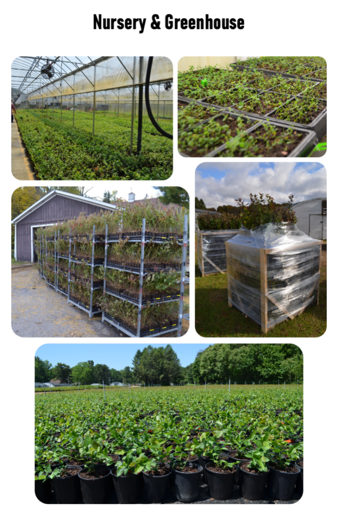 Commercial Grower Catalog - DeGrandchamp Farms